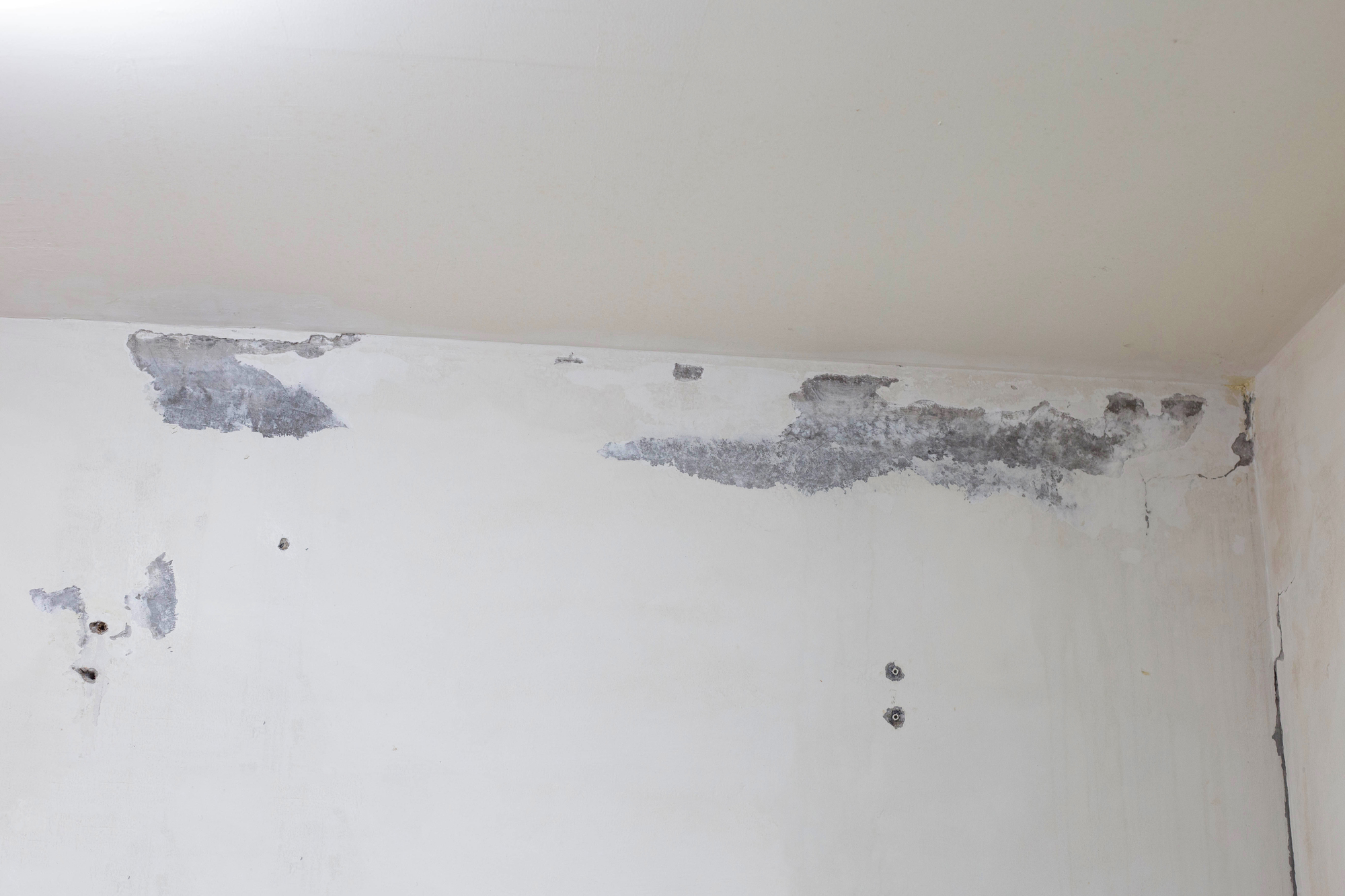 Understanding Moisture Intrusion: Moisture Management Strategies for ...